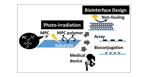 Photoassisted Surface Modification With Zwitterionic Phosphorylcholine Polymers For The