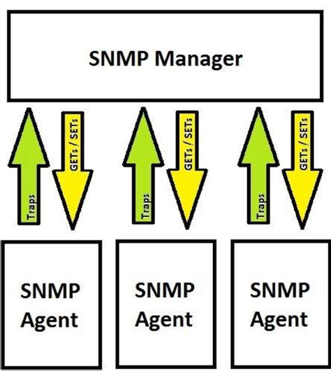 Diving Into Transport And Application Layers Optigo Networks