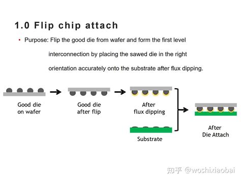 Flip Chip Attach工艺站点简介 知乎