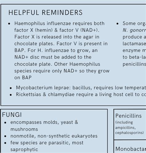 Micro Cheat Sheet Microbiologygram Stainserology Notes Mltmls