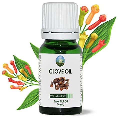 10 Best Toothache Relief January 2026