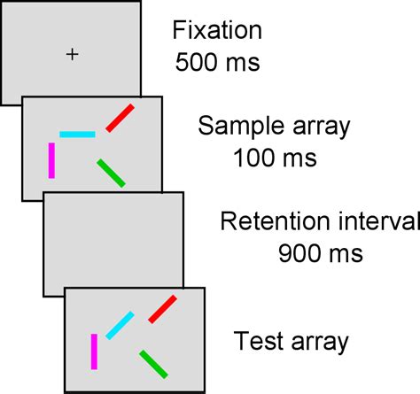 Figure 21 From Remembering Complex Objects In Visual Working Memory