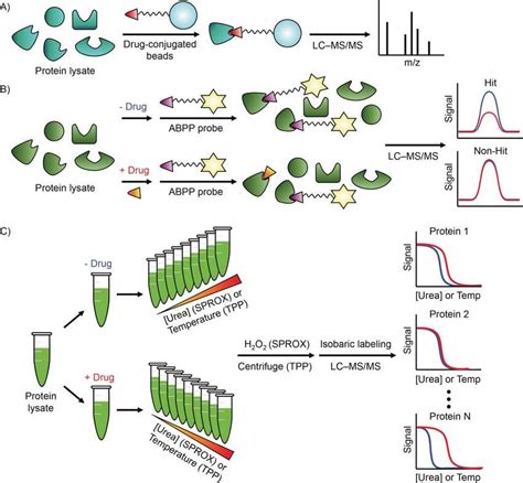Chemoproteomics Based Off Target Screening Of Small Molecule Drugs