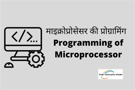 माइक्रोप्रोसेसर की प्रोग्रामिंग Programming Of Microprocessor Thetomatopost