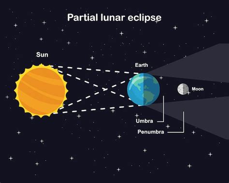 Premium Vector Diagram Showing Partial Lunar Eclipse Sun Earth And Moon Vector Infographic