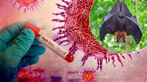 Truenat Nipah Detection Test — Balanced Report Truenat Nipah Detection Test — Balanced Report
