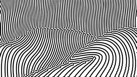 Abstract Optical Illusion With Flowing Black And White Lines Creating A Dynamic Wave Effect
