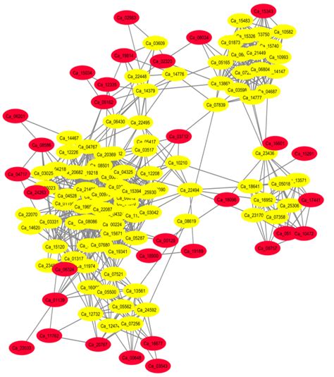 Gene Coexpression Network Gcn Diagram Of The Co Expressed Genes Download Scientific Diagram