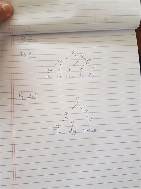 Tentative Thoughts Universal Grammar And A Review For The Language