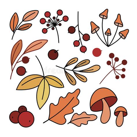 A Set Of Beautiful Multicolored Autumn Botanical Forest Elements