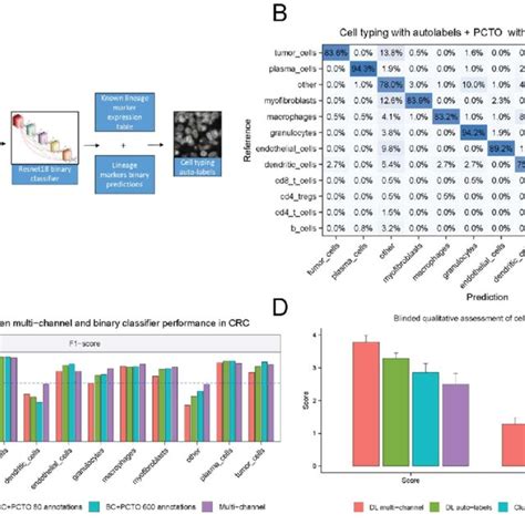 Utilization Of The Dl Binary Classifier As A Cell Typing Model A To
