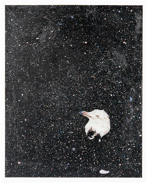 On The Edge By Tianxi Wang “on The Edge” Is Tianxi Wangs Experiment