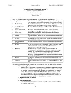 Lab Tissues Activity Lab Activity Instructions You Will Use The Visible Body Anatomy