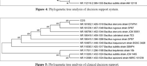 Figure 1 From Screening And Molecular Characterization Of Phytase