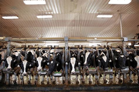 New Stock Price Predictor Amazon Reviews Wsj