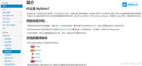 认识mybatis和搭建mybatis初始环境（java）java Mybatis环境 Csdn博客