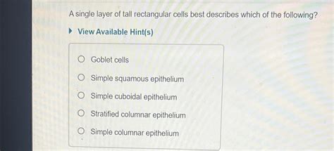 Solved A Single Layer Of Tall Rectangular Cells Best