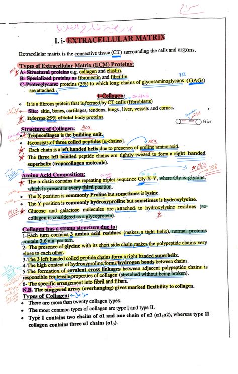 Solution Bio 105 Extracellular Matrix Fibers Fuels Of Muscle Explanation Of A Note With