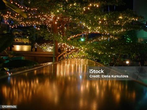 크리스마스와 새해 축하 시간에 대한 빛 화환으로 장식 나무의 흐릿한 이미지 축제 도시에서 아늑한 저녁 추상 휴일 배경 갈란드 장식품에 대한 스톡 사진 및 기타 이미지