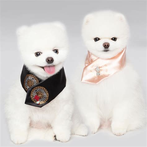 카카오톡 선물하기