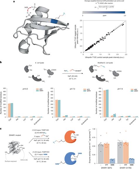 Selectivity Of Bioconjugation With Vinyl Thianthrenium Salts A Download Scientific Diagram