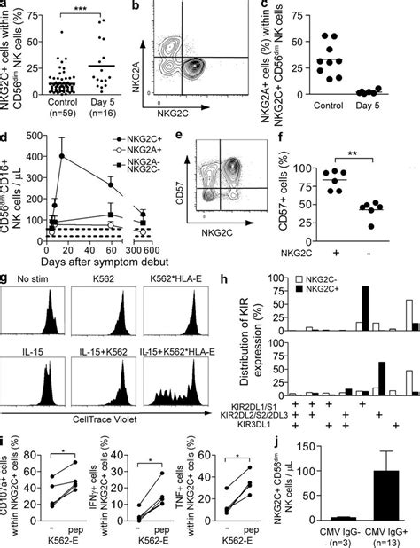 Expansion Of Nkg2c⁺ Nk Cells A Frequency Of Nkg2c⁺ Cells Within The Download Scientific