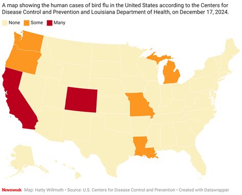 Bird Flu Scientist Says Take Precautions After First Severe Case Report Newsweek