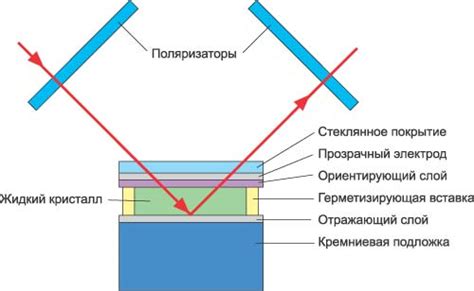 Какие бывают виды проекторов