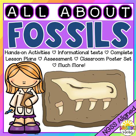 all about fossils made by teachers fossils lesson informational