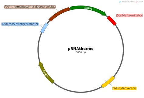 Teamsvce Chennaitemperature Sensitive Activation