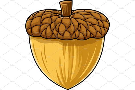 Cartoon Acorn In The Shell MasterBundles