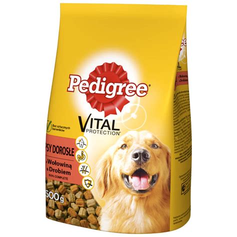 მთავარი Master Trade Ge