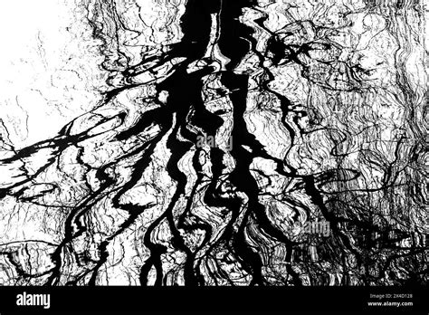 The Abstract Disorted Reflection Of A Tree In Water Stock Photo Alamy