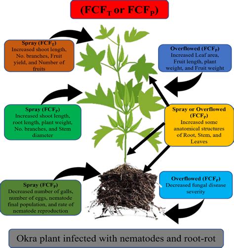 An Illustration Of The Effect Of Spray Or Overflowed Of Pchrysogenum Download Scientific