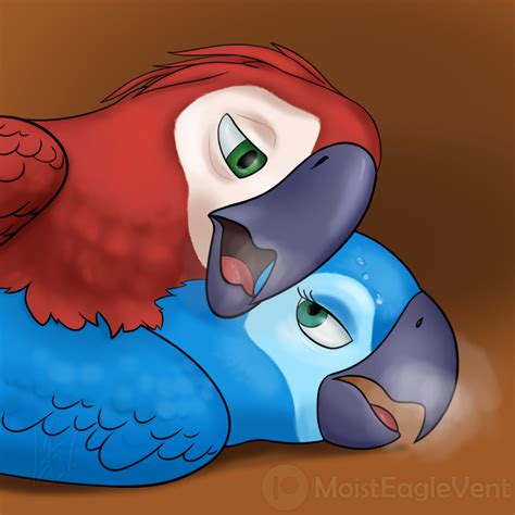 Rule 34 After Sex Ara Genus Avian Bird Blue Body Blue Feathers Blue