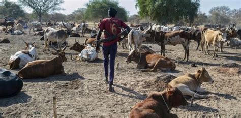 Death Toll Rises To 22 In Gogrial East Cattle Raid The Radio Community