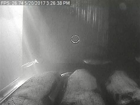 Traffic Object Detection Dataset And Pre Trained Model By Trraficc Traffic Object Detection Dataset And Pre Trained Model By Trraficc