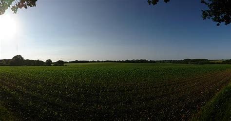 Fields Album On Imgur