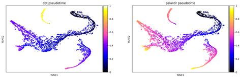 13 Pseudotemporal Ordering — Single Cell Best Practices