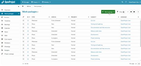 Gestion De Projet Avec Openproject