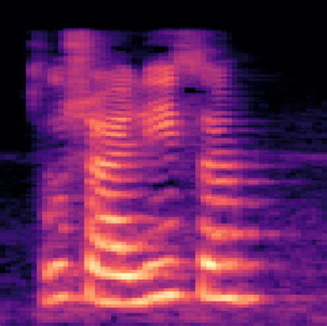 voice classification kaggle