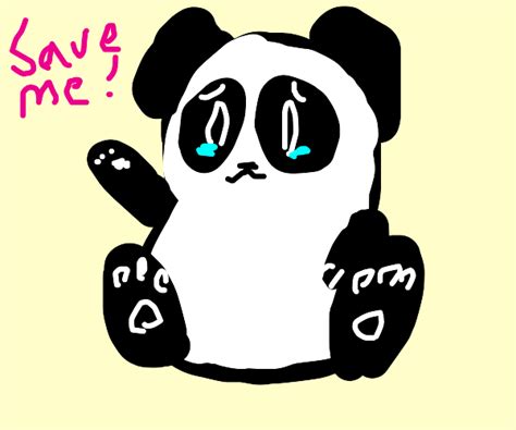 Save The Pandas Drawception