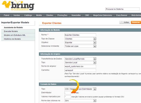 Passo A Passo De Como Exportar Os Dados De Clientes Para O Excel Bring E Commerce
