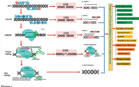 Figure 1 From Soybean Molecular Design Breeding Semantic Scholar