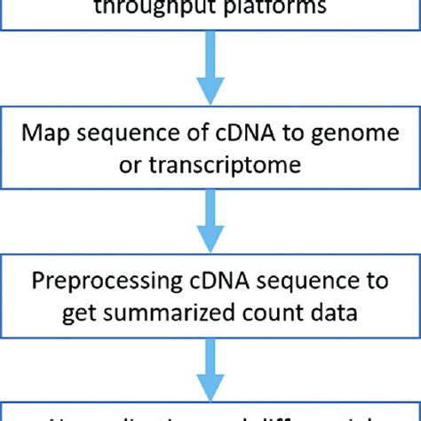 Analysis Flow Of RNA Sequencing Data Download Scientific Diagram