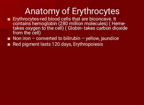 SOLUTION Anatomy Of Erythrocytes Studypool