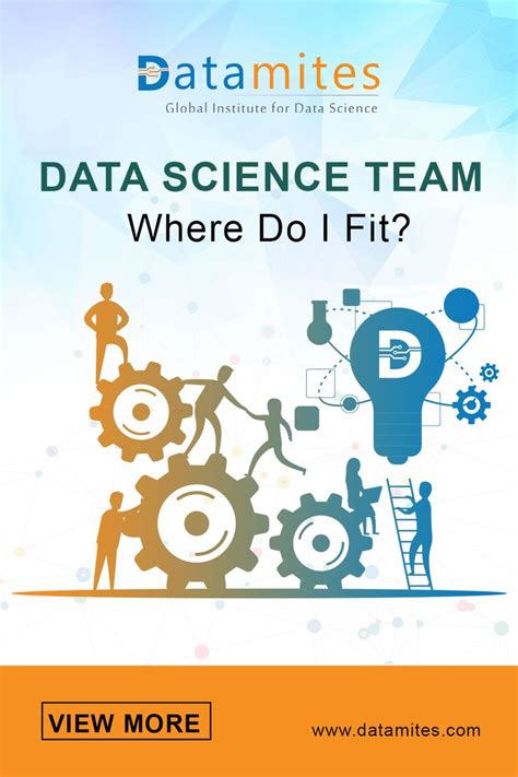 data science team structure where do i fit data science science