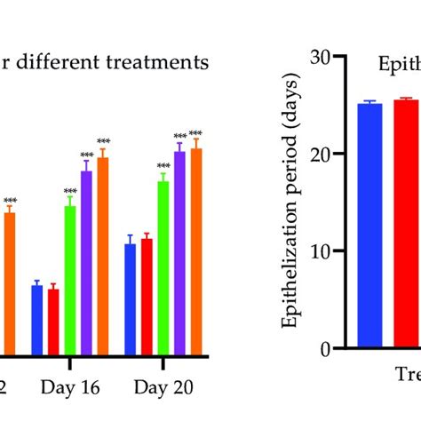 Wound Contraction And Epithelization Period After Different Treatments