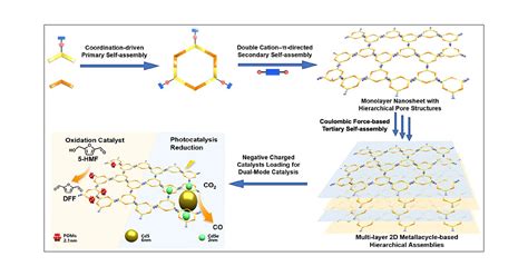 Double Cation−π Directed Two Dimensional Metallacycle Based Hierarchical Self Assemblies For