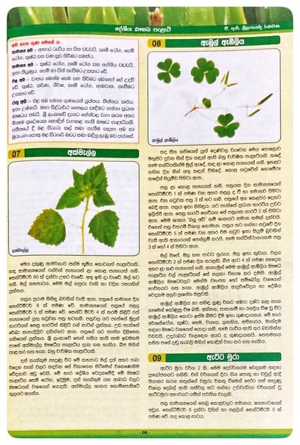 දේශීය ඖෂධ පැළෑටි Deshiya Oushadha Palati පොත් පැංචා [poth Pancha]